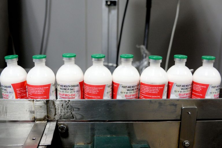 Biovet – Innovations for Animal Health Care